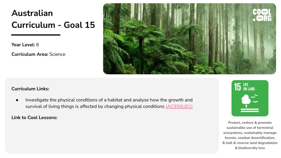 Understanding Forests | Cool.org