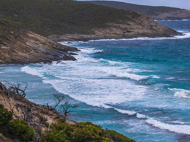 Blueback Film Education Resources | Cool.org