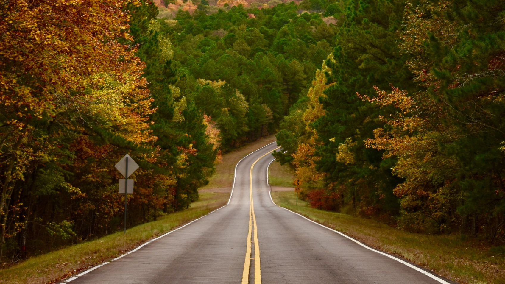 Australia’s Unique Plants and Vegetation | Cool.org