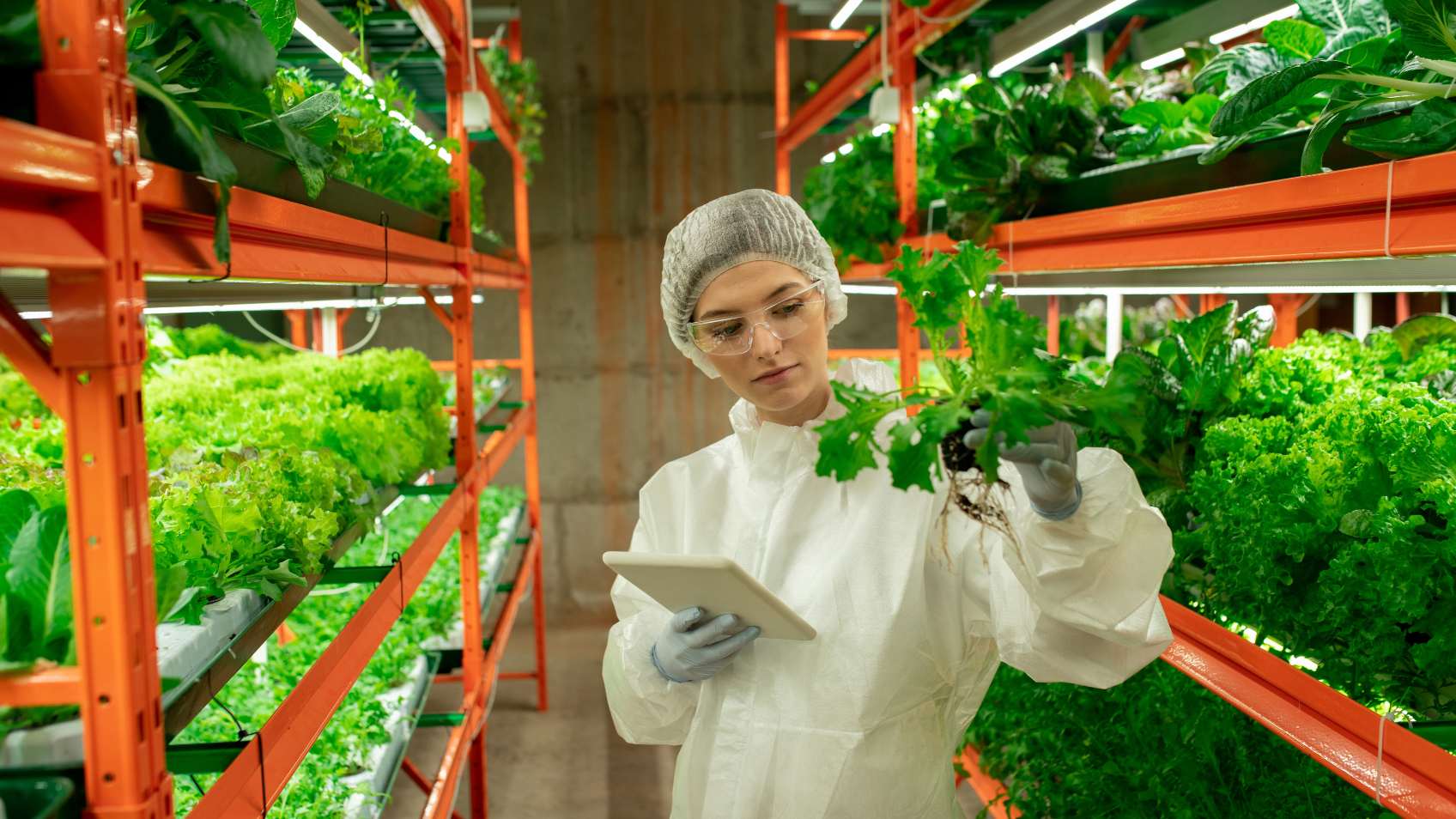 The Matilda Effect: Recognising Women’s Achievements in Science | Cool.org