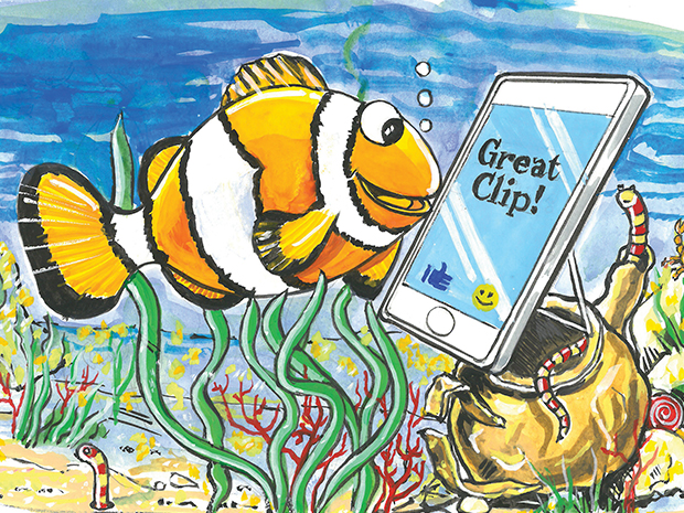 eSafety for Kids Education Resources | Cool.org